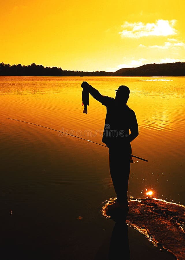 Man Catches a Fish in a Lake Stock Image - Image of river, creek: 176606389