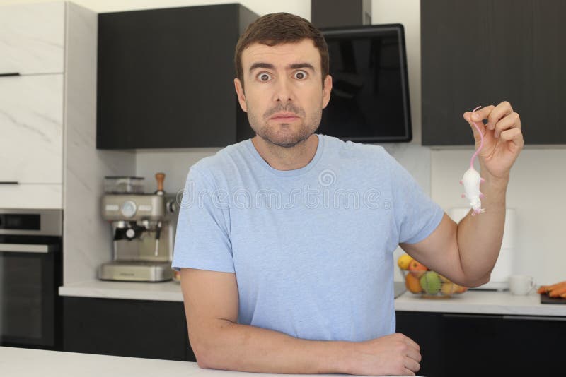 Man Catching a Mouse in His Kitchen Stock Image - Image of male, mouse ...