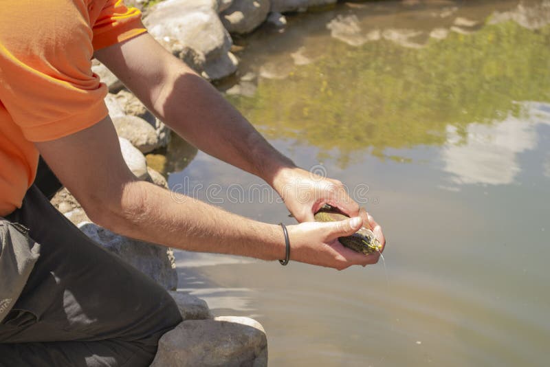 Let s go fishing stock image. Image of hobbies, fish - 42846335