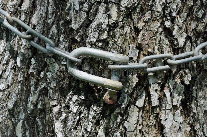 Man Chaining Nature Stock Photos - Free & Royalty-Free Stock Photos ...