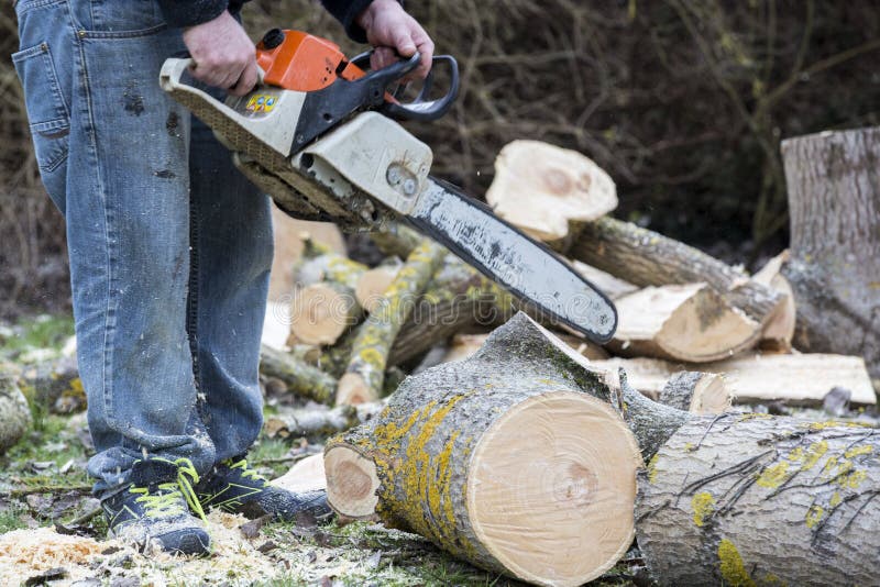 Man with Chainsaw Cutting the Tree Stock Image - Image of forest, hand ...