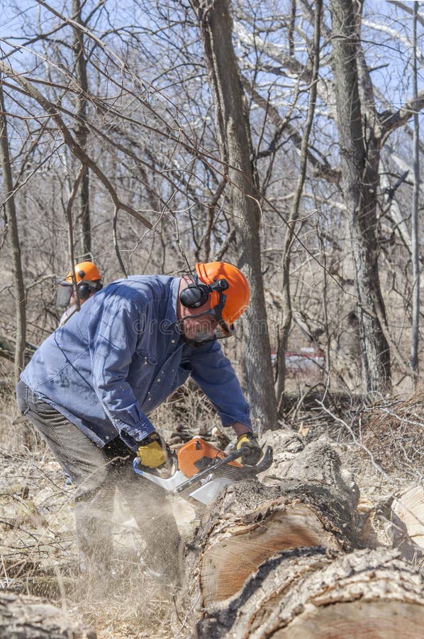 Black Locust Firewood