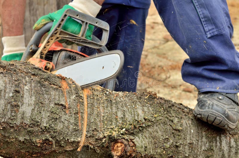 Man with Chainsaw Cutting the Wooden Log Stock Image - Image of tool ...
