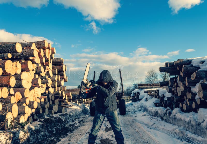 Man with a Chainsaw at Logging Stock Image - Image of industry, lumber ...