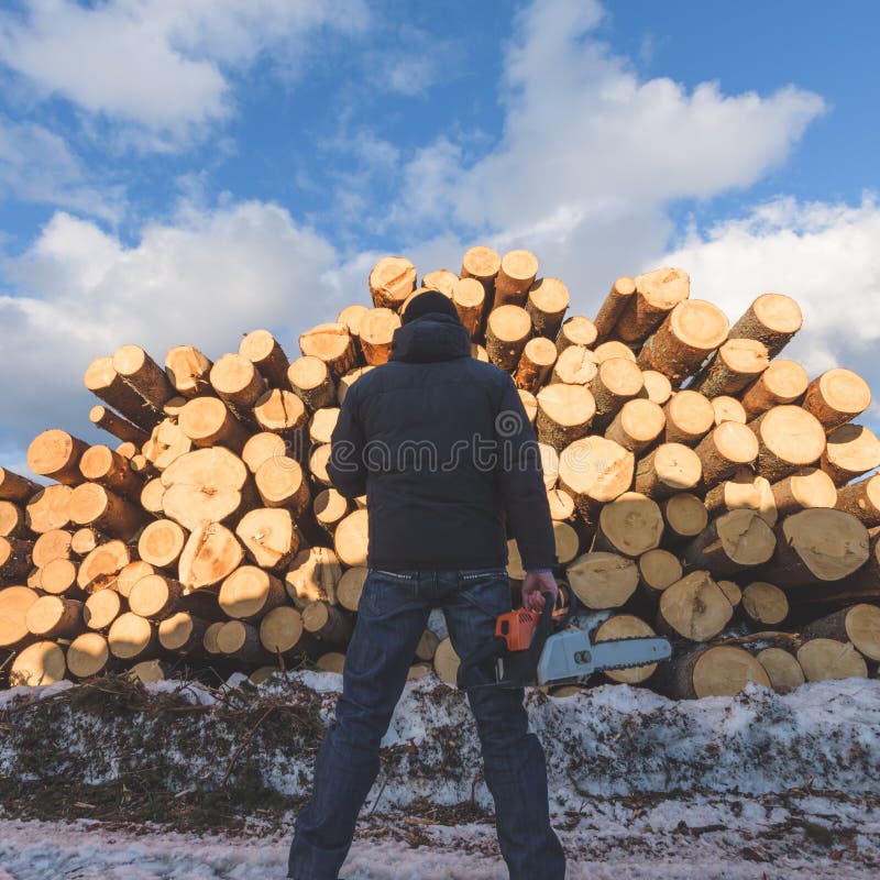 Man with a Chainsaw at Logging Stock Image - Image of action, chain ...