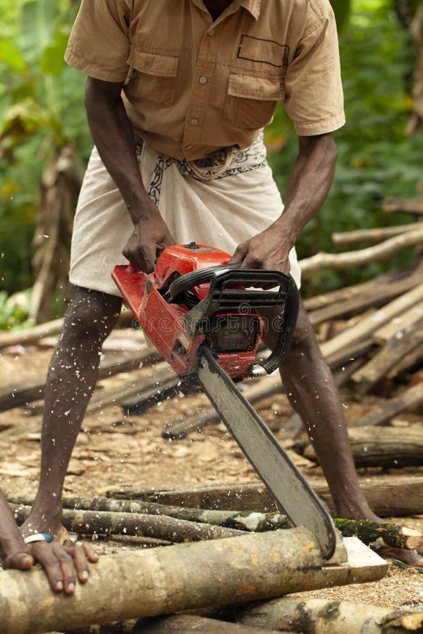 Man with Chainsaw stock photo. Image of climate, tree - 168023814