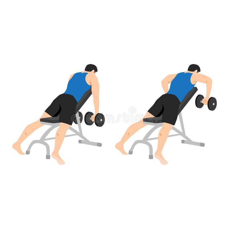 Man Character Doing Dumbbell Incline Bench Row Exercise Stock Vector ...
