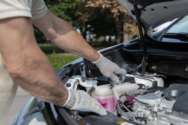 Man Check the Coolant Level in the Car Stock Photo - Image of medium ...