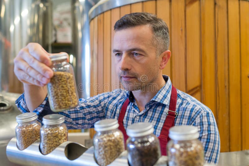 Man Checking Beer Malt in Laboratory Stock Image - Image of food ...