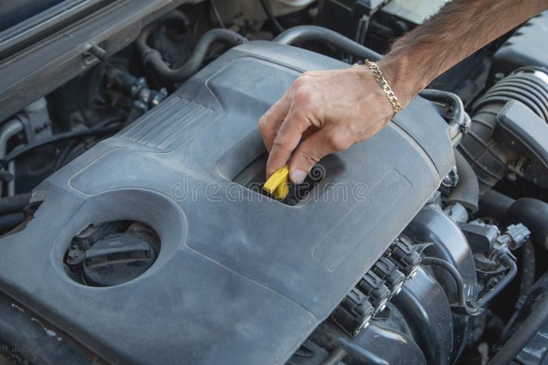 Man Checking Level of Oil in Car Engine Stock Image - Image of motor ...