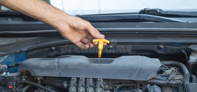 Man Checking Level of Oil in Car Engine Stock Photo - Image of change ...