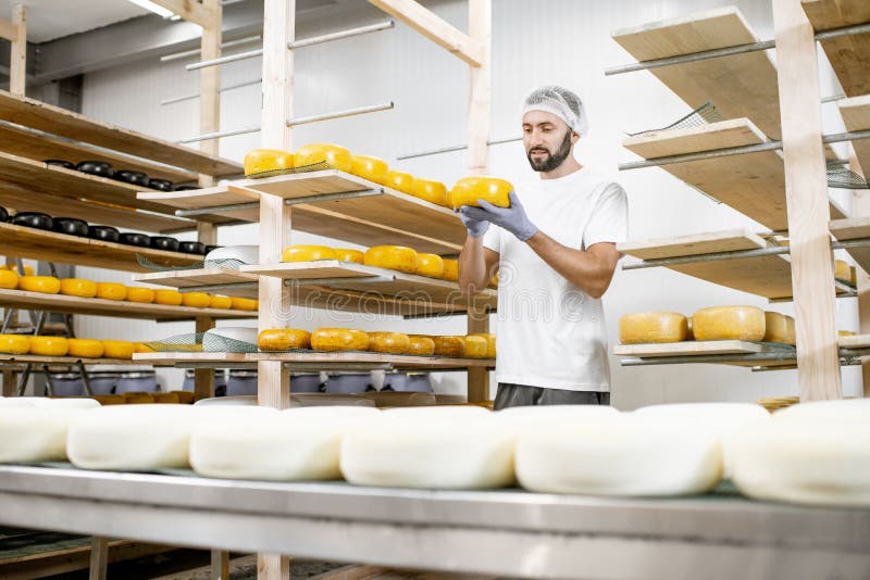 Man with Cheese Wheels at the Storage Stock Image - Image of dairy ...