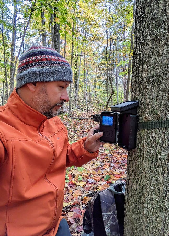 Man Checking Trail Camera Game Cam Forest Stock Photos - Free & Royalty ...