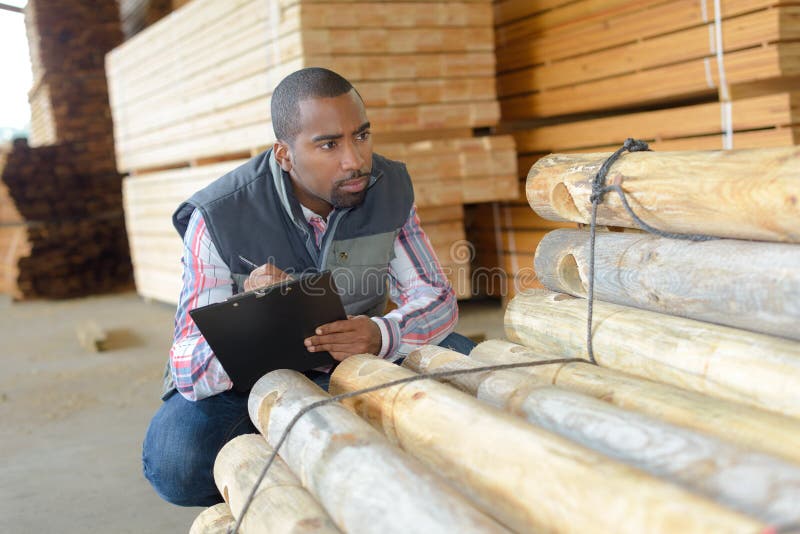 Man checking wood logs stock image. Image of sweater - 116230317