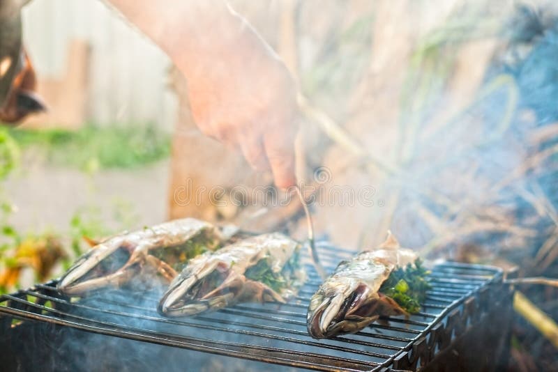 Man Checks the Fish on the Grill for Readiness Stock Photo - Image of ...