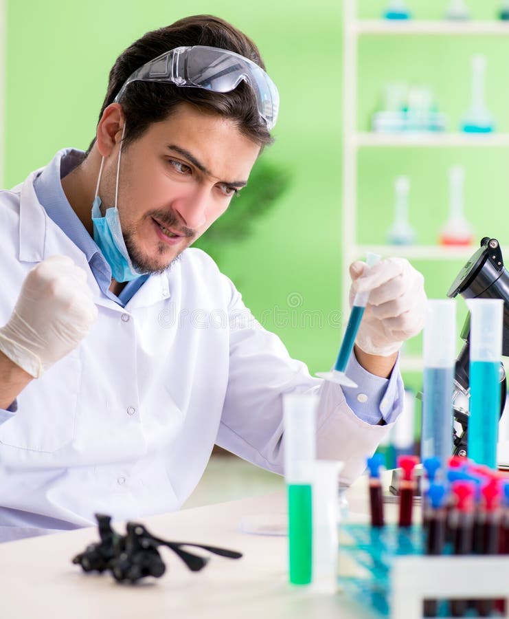 Man Chemist Working in the Lab Stock Image - Image of analyzing ...