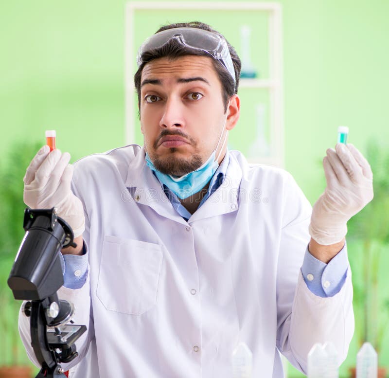 Man Chemist Working in the Lab Stock Image - Image of chemist ...