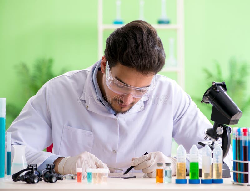 Man Chemist Working in the Lab Stock Image - Image of experiment ...