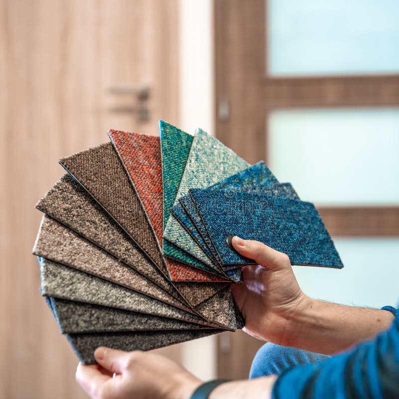 The Man Chooses the Color of the New Carpet According To the Samples in ...