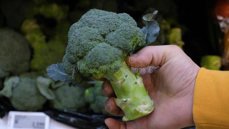 A Man Chooses Green Broccoli in Supermarket Close-up. Stock Footage ...