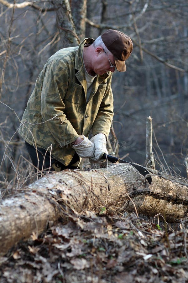 Man chopping tree stock image. Image of work, thick, nature - 29706181