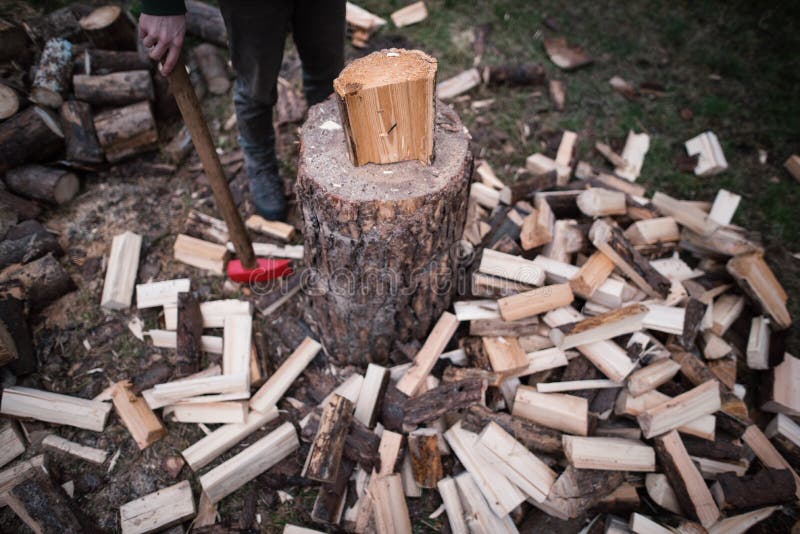 A Man Chopping Wood with an Ax in His Hand. Standing by a Log for ...