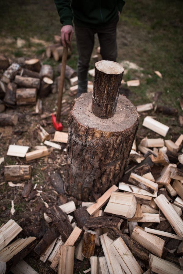 A Man Chopping Wood with an Ax in His Hand. Standing by a Log for ...