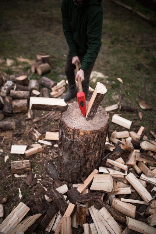 A Man Chopping Wood with an Ax in His Hand. Standing by a Log for ...