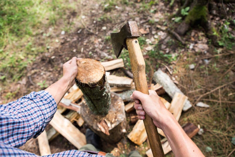 Man chopping down trees stock photo. Image of blade - 135079690