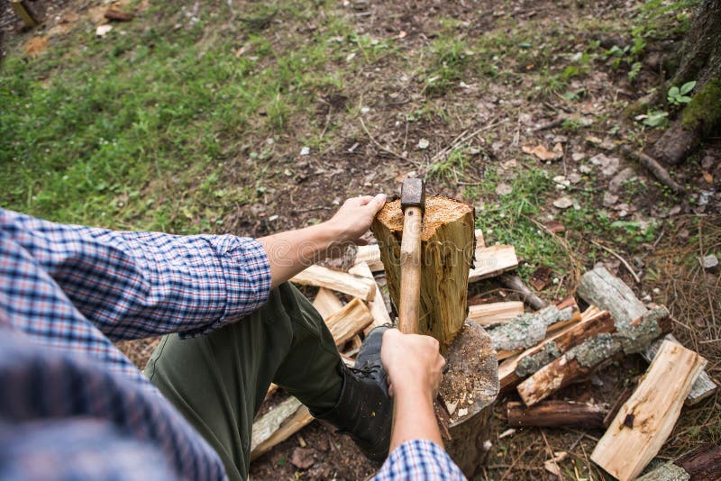 Man Chopping Wood in the Forest. Stock Photo - Image of firewood ...