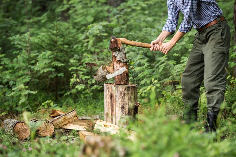 Man Chopping Wood in the Forest. Stock Photo - Image of shirt, worker ...