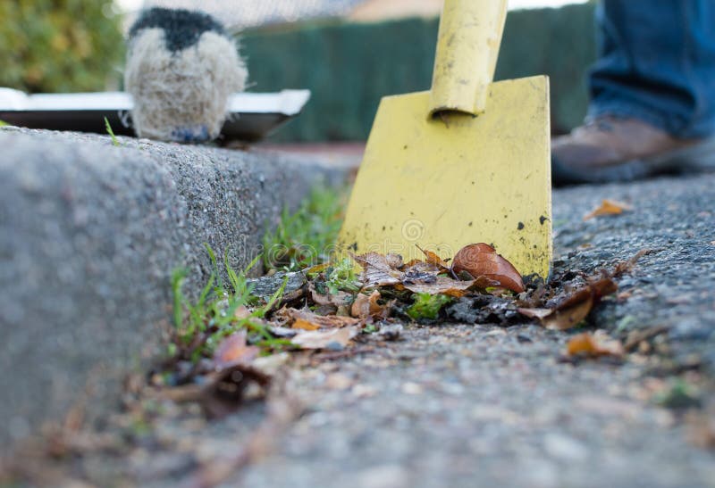 Man is cleaning the gutter stock photo. Image of outdoor - 130744462