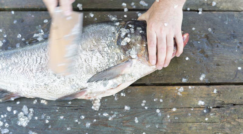 A Man Cleans the Fish from the Scales Stock Photo - Image of knife ...