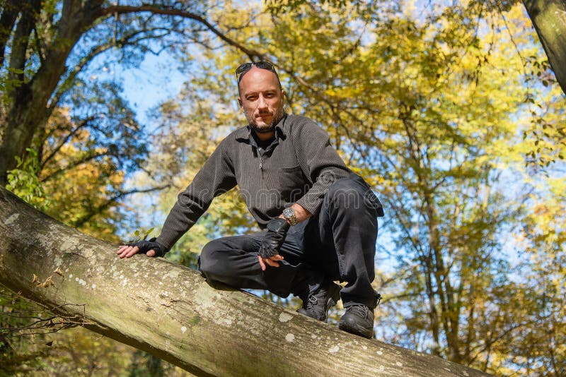 Man Climbed on Tree. Man Sitting in a Tree in an Autumn Forest Stock ...