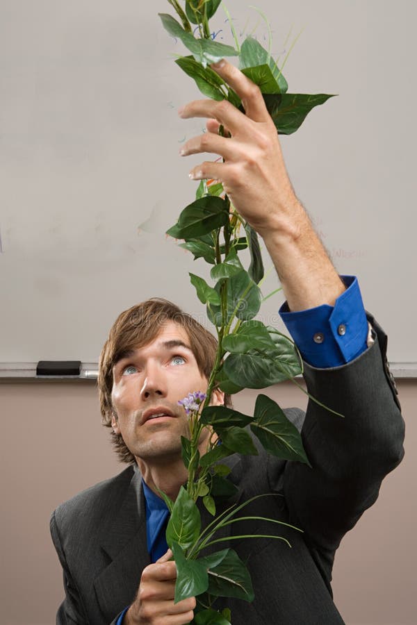 Man climbing a stem stock image. Image of interesting - 62560781