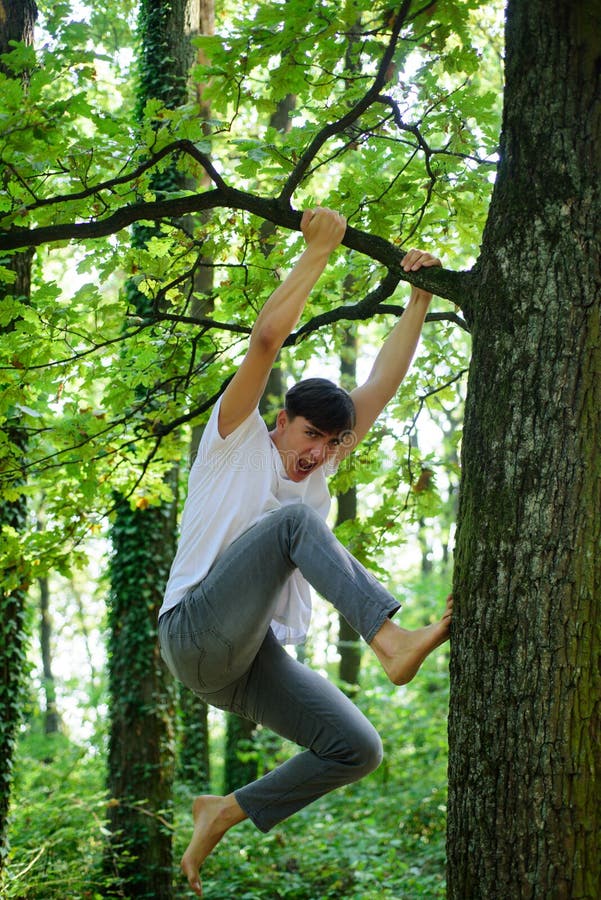 162 Handsome Man Hanging Tree Stock Photos - Free & Royalty-Free Stock ...