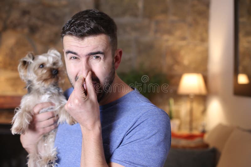 Man Complaining About Dog Smell Stock Image - Image of lotion, indoor ...