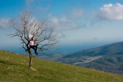 Man with computer on tree stock image. Image of elegance - 24714379