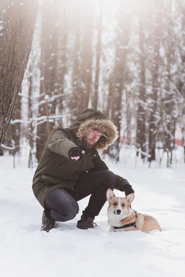 Man with Corgi Dog in Winter Park Stock Photo - Image of hugging, smile ...