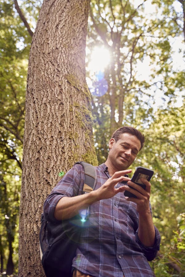 Man in Countryside Hiking Along Path through Forest Using Map App on ...