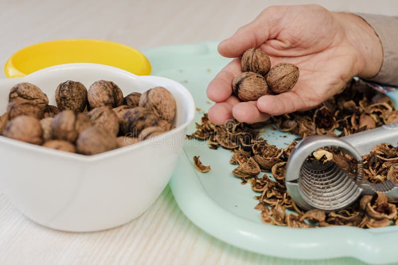 Man cracking nuts stock photo. Image of food, kitchen - 265599694