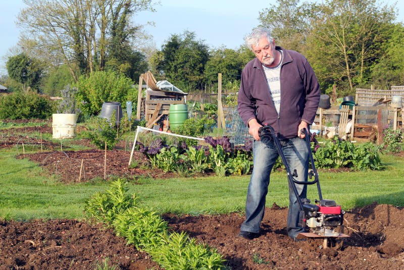 Man cultivating garden. stock image. Image of rotavate - 41346151