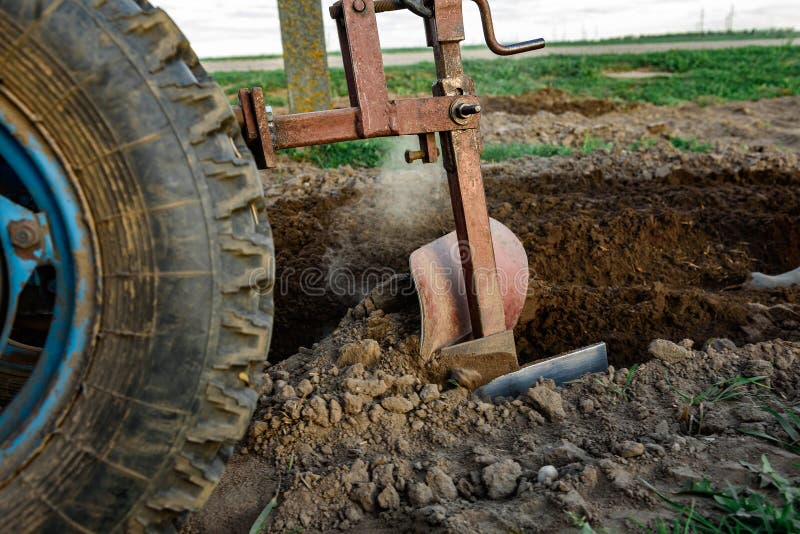 Man Cultivating Soil Tiller Block Planting Potatoes Spring Stock Photos ...