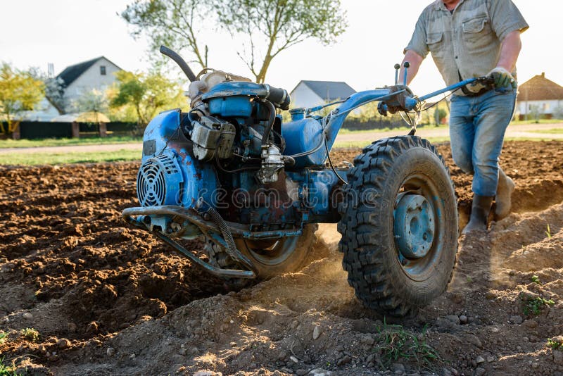 Man Cultivating Soil Tiller Block Planting Potatoes Spring Stock Photos ...