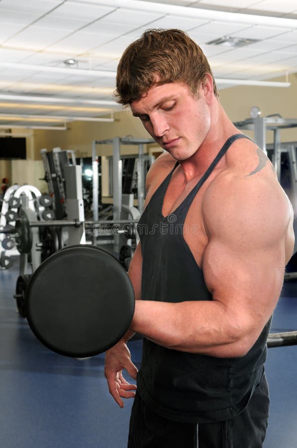 Man Curling Dumbbell at Gym Stock Photo - Image of bicep, iron: 11878940