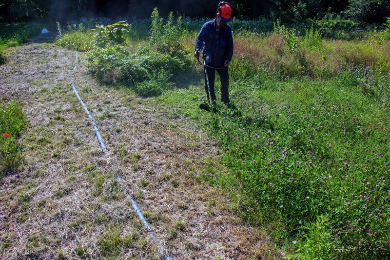 A Man Cuts and Mows the Grass. Grass Cutting Work Stock Image - Image ...