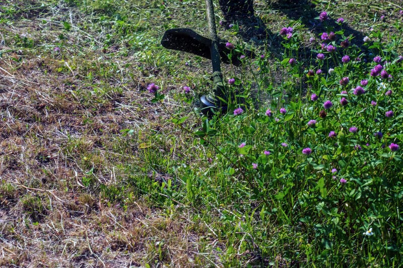 A Man Cuts and Mows the Grass. Grass Cutting Work Stock Image - Image ...