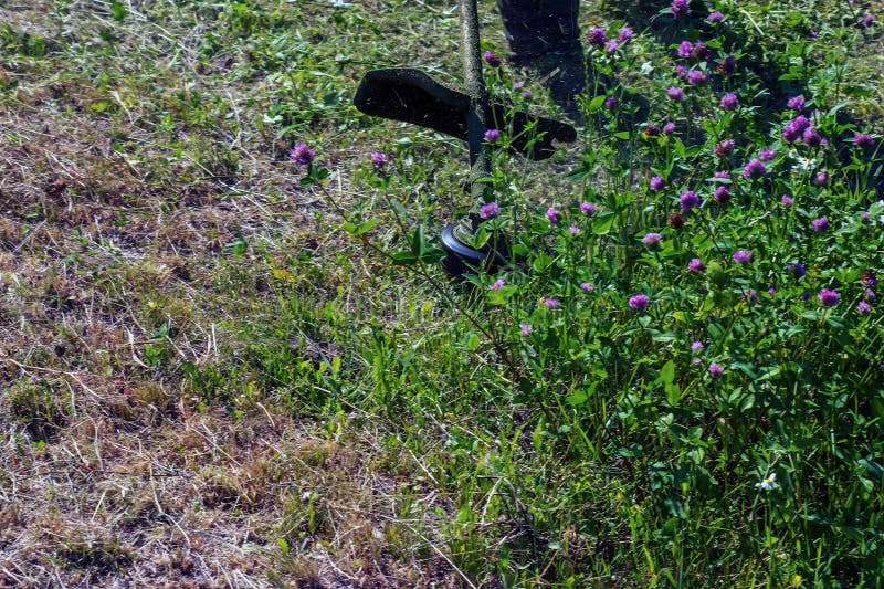 A Man Cuts and Mows the Grass. Grass Cutting Work Stock Photo - Image ...