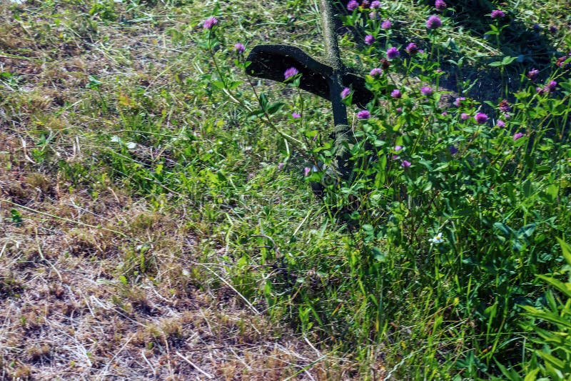 A Man Cuts and Mows the Grass. Grass Cutting Work Stock Photo - Image ...