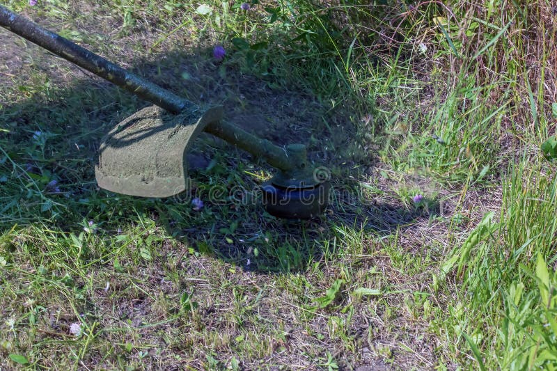 A Man Cuts and Mows the Grass. Grass Cutting Work Stock Image - Image ...